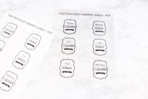 DIY Printable Label Sticker Paper - Cleaning Labels - Slay At Home Mother