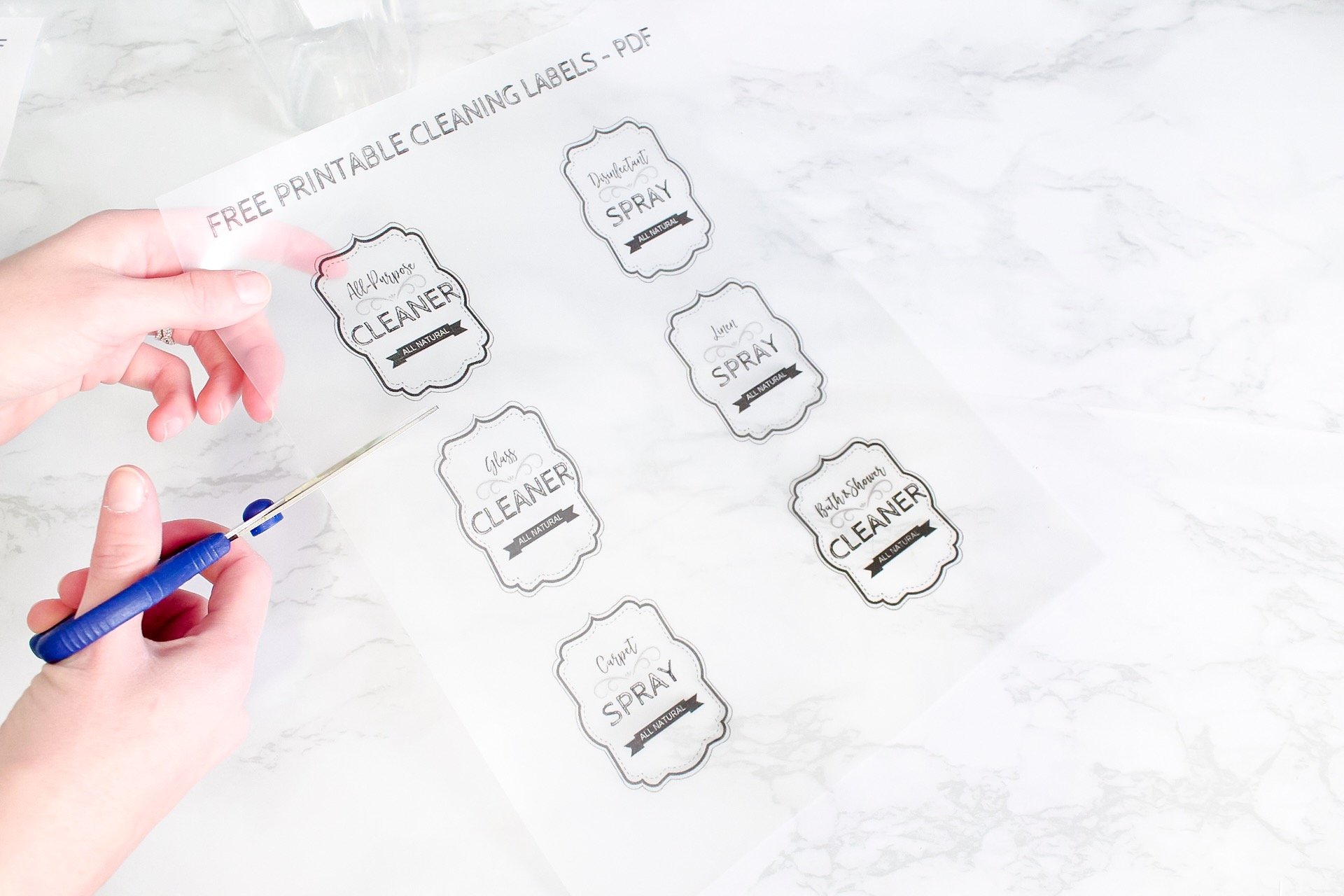 DIY Printable Label Sticker Paper - Cleaning Labels - Slay At Home Mother