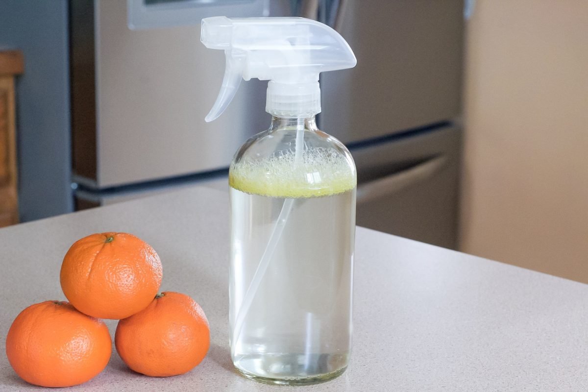 All Natural Homemade Citrus Degreaser Spray - Slay At Home Mother