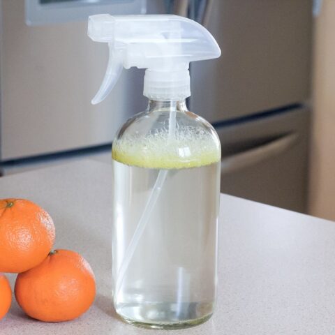 All Natural Homemade Citrus Degreaser Spray - Slay At Home Mother