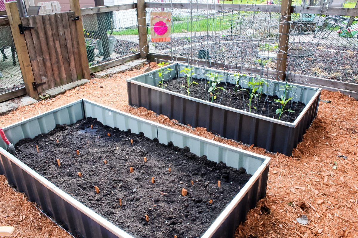 Setting Up Our Garden + 10 Easy Gardening Tips - Slay At Home Mother