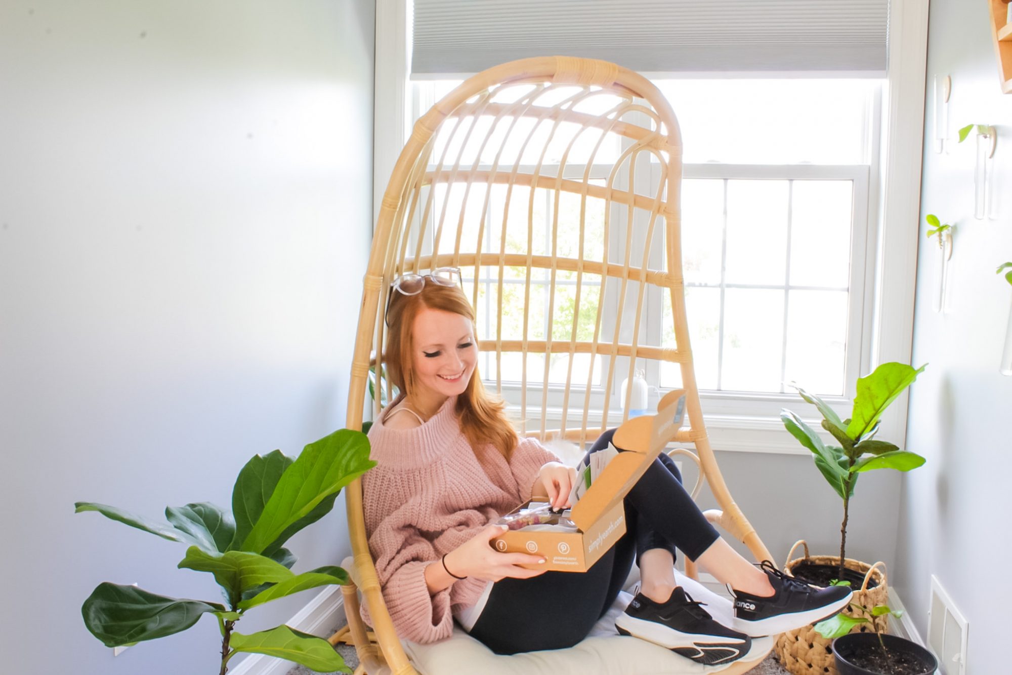 Simply Earth Essential Oils November 2020 Recipe Box