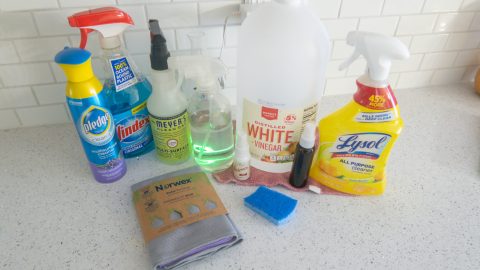 Testing The Efficacy Of Common Household Cleaners