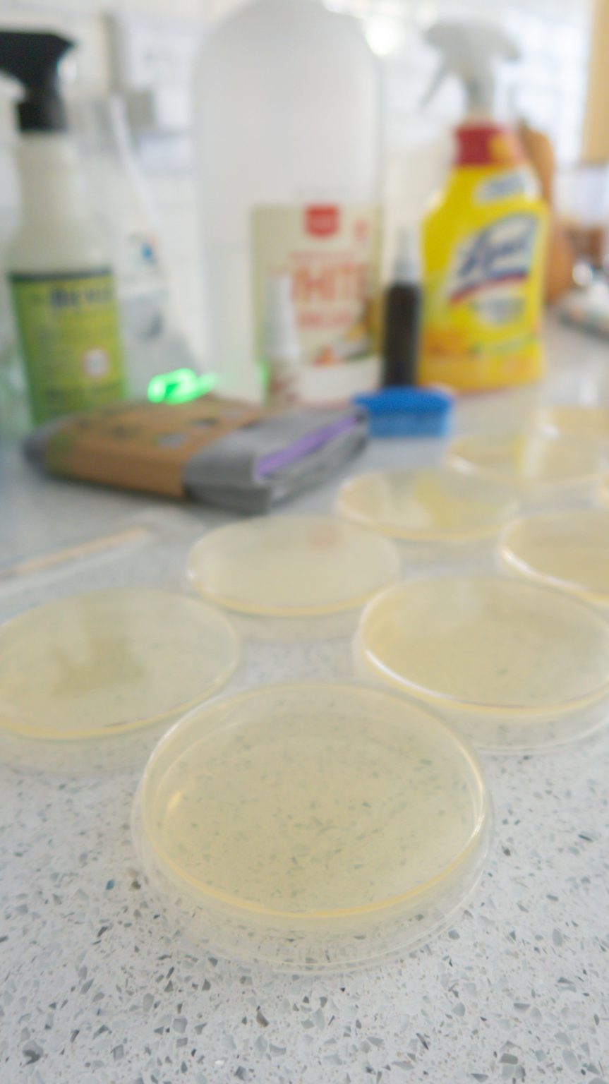 Testing The Efficacy Of Common Household Cleaners