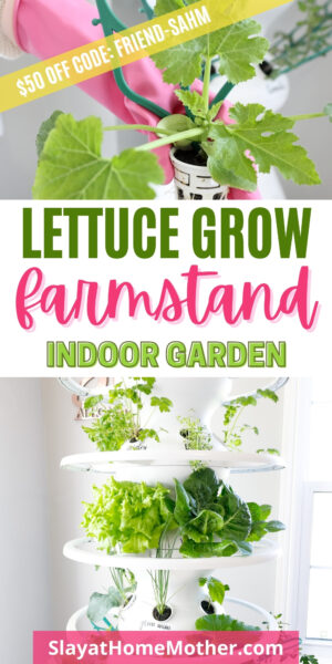 Indoor Vertical Garden 2 Week Check In - Lettuce Grow Farmstand