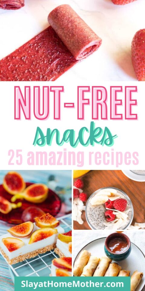 Nut Free Snacks - 25 Delicious No-Nut Recipes To Try
