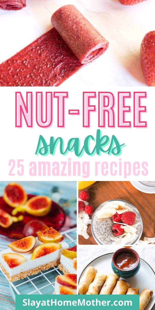 Nut Free Snacks - 25 Delicious No-Nut Recipes To Try