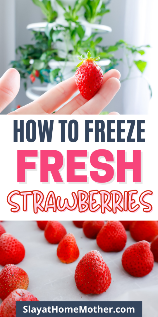 How To Freeze Fresh Strawberries - Slay At Home Mother