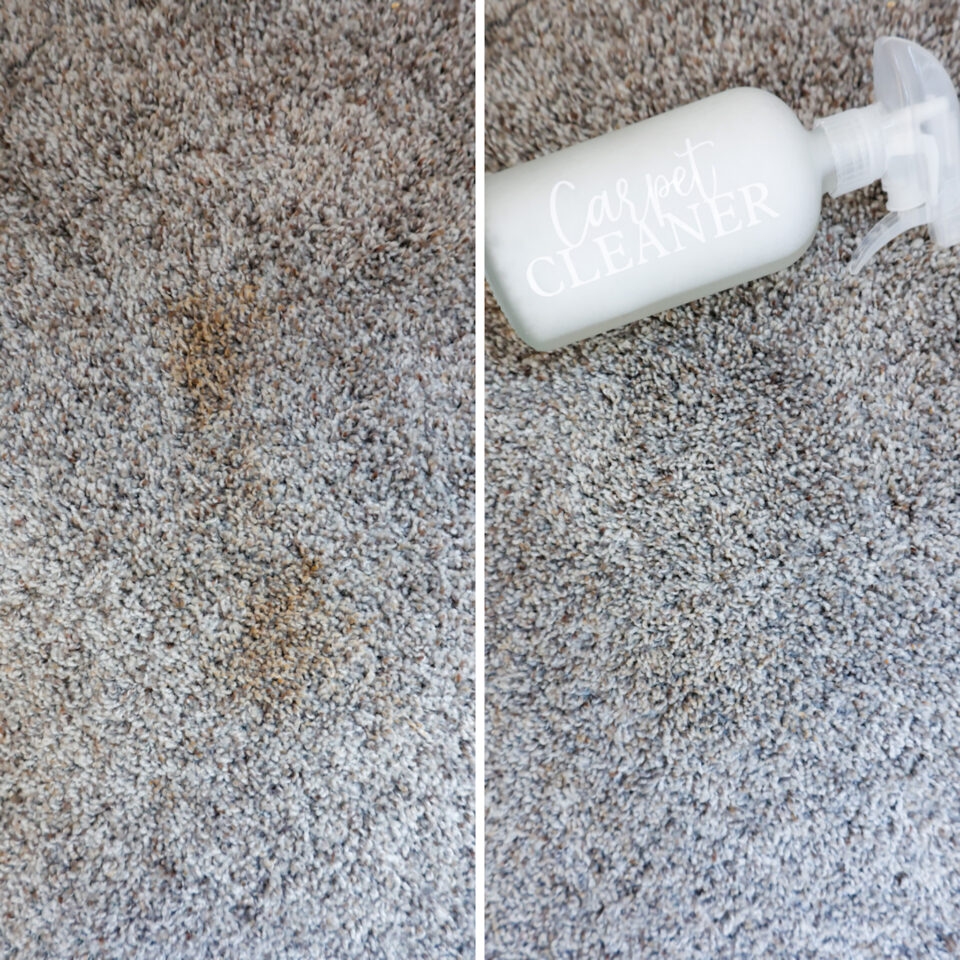 DIY Carpet Cleaning Solution (How To Spot Clean Carpet)