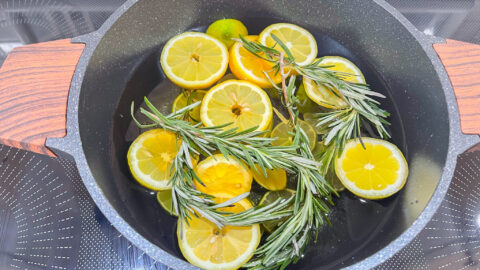 Spring Simmer Pot Recipe - Slay At Home Mother